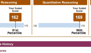Online exam helper-Gre test and toefl test takes help | TestHelper